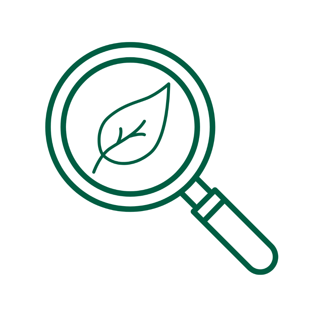 Discover Ecology - Explore Nature's Hidden Connections